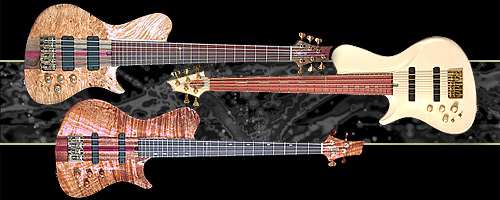 Warrior Guitars from Extreme Guitar Boutique